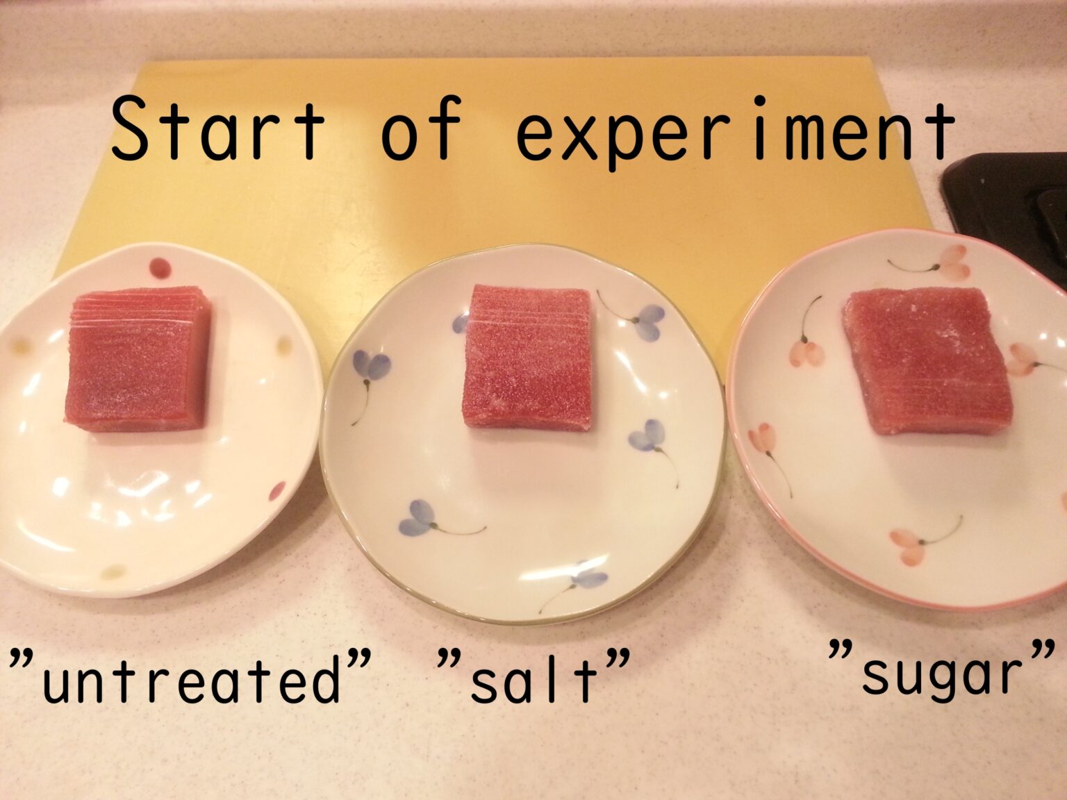 Sashimi treated with sugar or salt to compare tastes (tuna & salmon ...