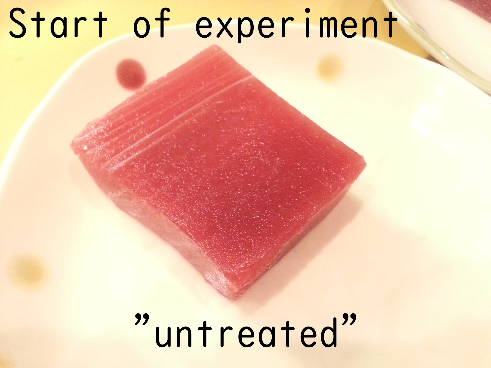 Sashimi treated with sugar or salt to compare tastes (tuna & salmon ...