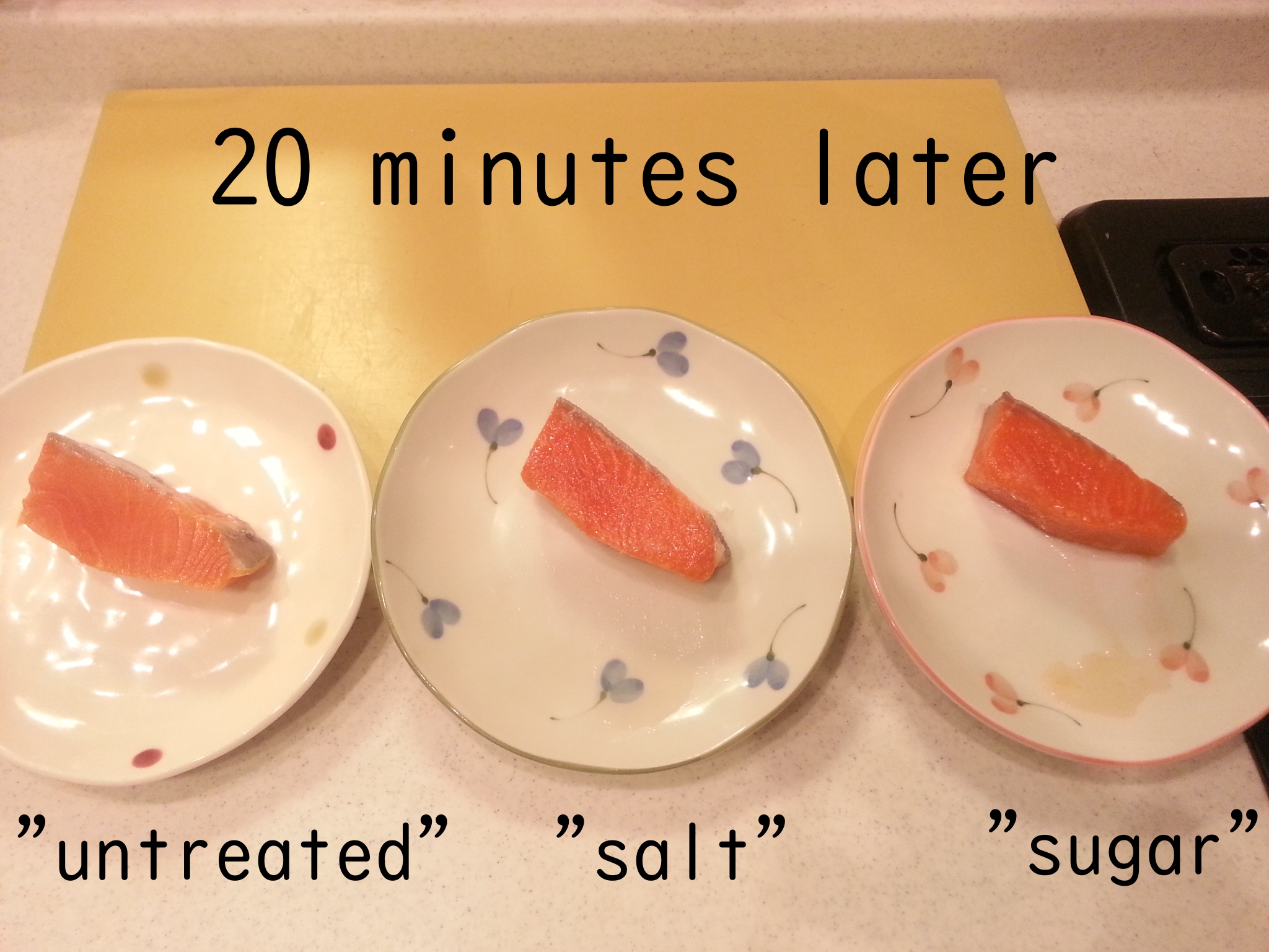 Sashimi treated with sugar or salt to compare tastes (tuna & salmon ...